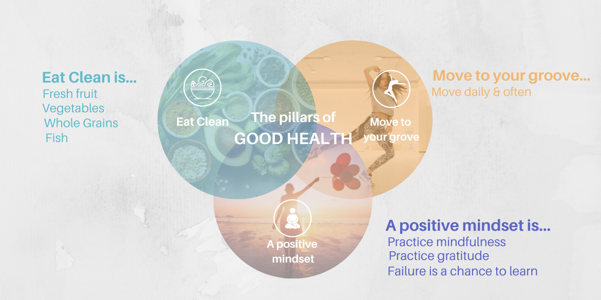 The Pillars of Good Health - Schuessler Tissue Salts